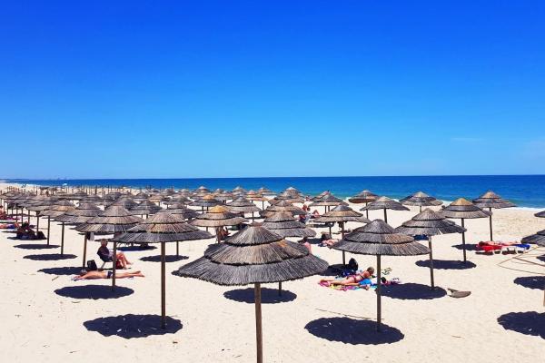 Best Located Apt - Fabulous Pool ! - Tavira