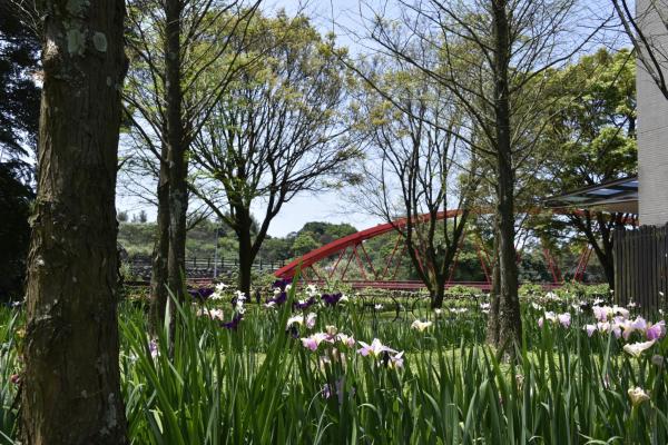 Rainbow Bridge B&b - Taipei