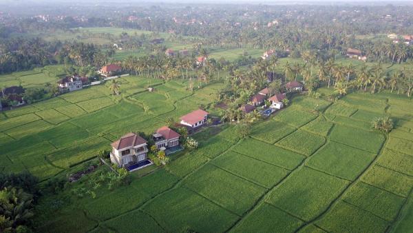 The Samara Villas & Restaurant - Bali