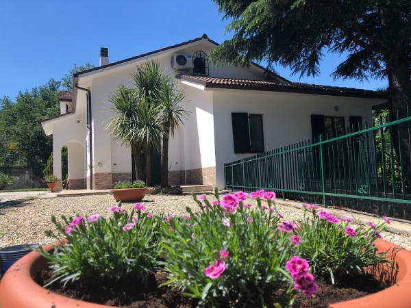 B&b Zac House - Ceriale