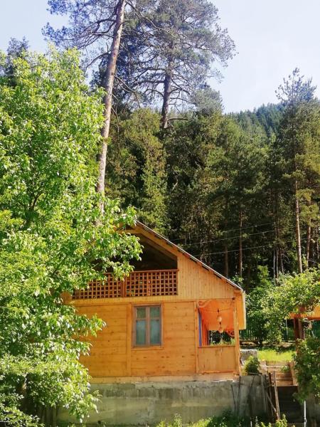 Guest House Ilia - Georgia