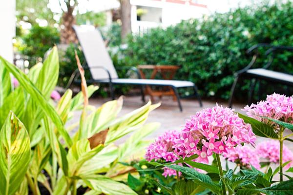 Desoto Beach Gardens - Tybee Island, GA