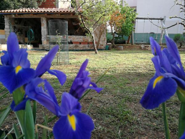 Apartments Gorka - Šibenik