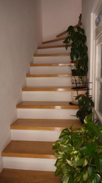 Apartments Jakova Dudana 10 - Makarska