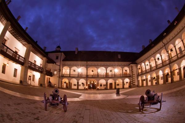 Zamek Królewski W Niepołomicach - Krakow