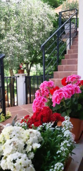 Apartment Ankica - Strunjan