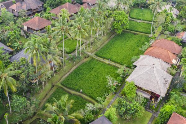 Ananda Ubud Resort - Ubud
