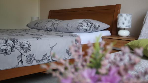 Adria Apartment - Rijeka