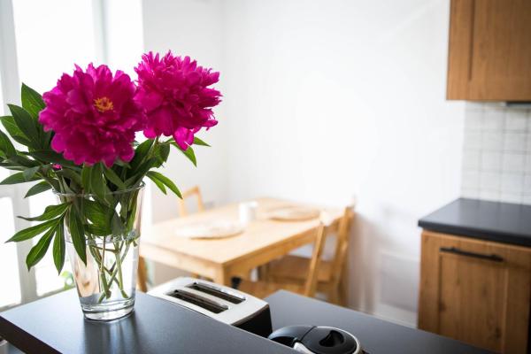 Apartment Poruba Street View - Ostrava