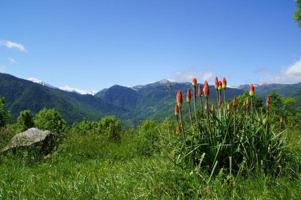 Chalets "Les Gentianes" - Ax 3 Domaines