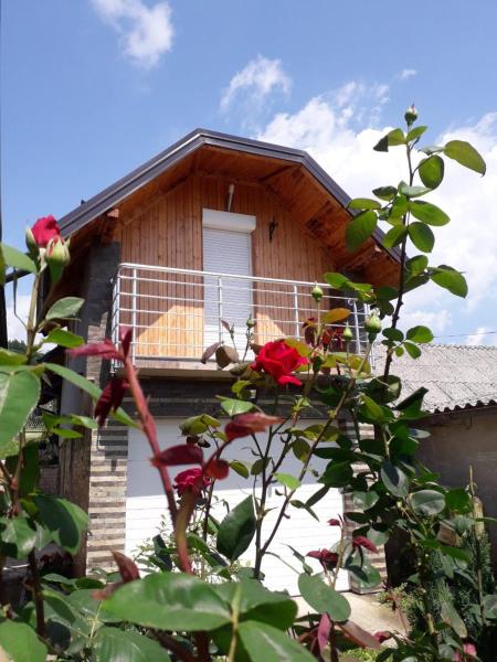 Apartman Darija - Vrdnik