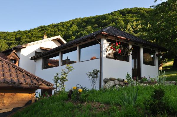 Trout Cottage - Zărnești