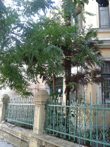 Marine Residence - バトゥミ