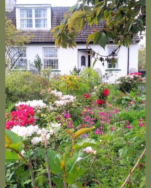 Argyllholidaycottage Loch Awe - Loch Awe