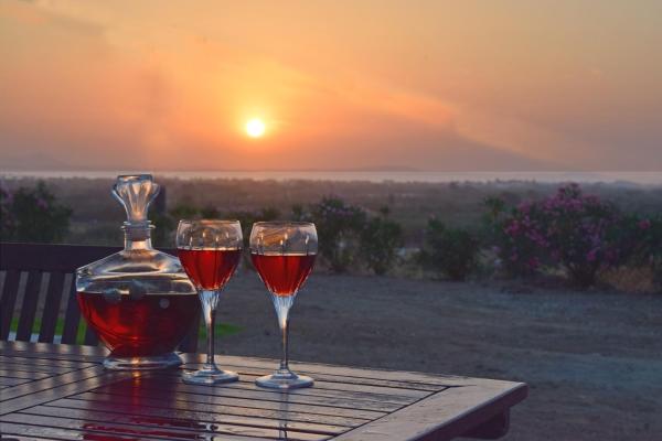 Naxian Vacation With Sea View - Naxos