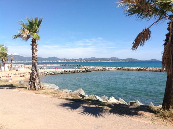 Pins Parasol - French Riviera