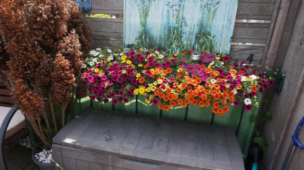 Amsterdam Roof Terrace B&b - Aalsmeer