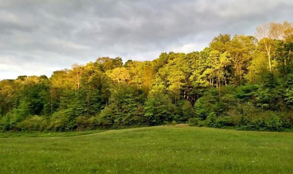 Altenbrauch Farm - Camping In The Hocking Hills - Ohio