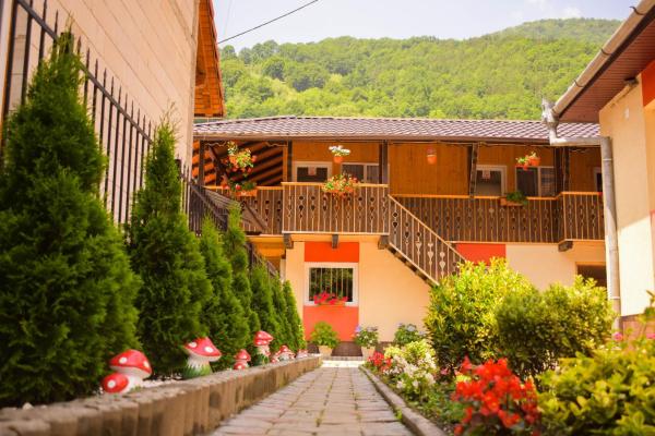 Pensiunea Casa Ioana - Jina