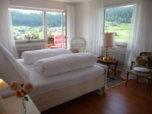 Schwarzwald-ferienwohnungen Begert - Baiersbronn