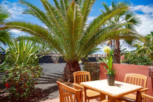 Blu Gardenia - Corralejo