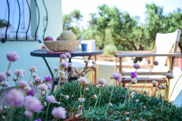 Magea- Asterias Ground Floor Peaceful Apartment - Crete