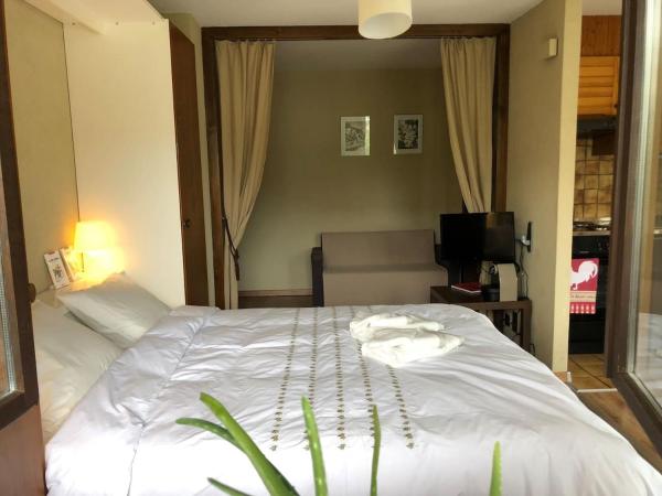 Charmant Studio, 2 Adultes , Centre De Nendaz - Suisse