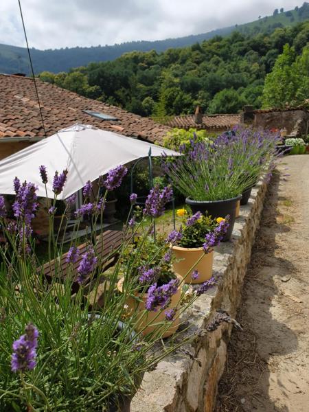 Gite De Charme - Foix
