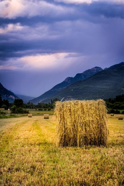 Biescas Doctor Fleming Reg Vu-hu-19-226 - Biescas