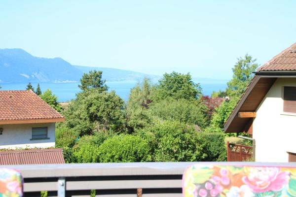 Les Narcisses - Vevey