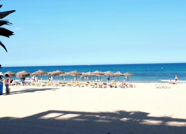 Avenu Belgica Apartment - Torrevieja