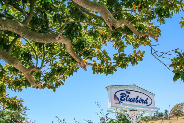 Bluebird Inn - Cambria, CA