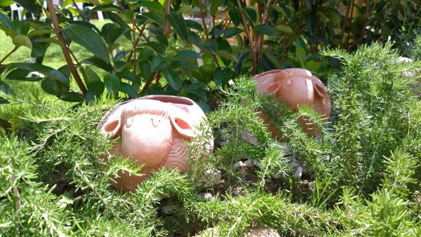 Le Pecore Di Terracotta - Pesaro