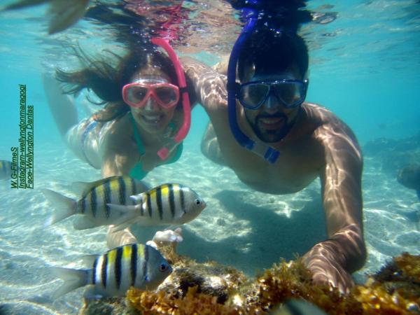 Bella Flats - Maragogi