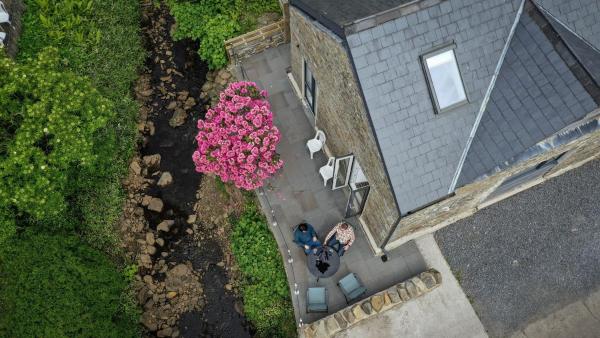 Swansea Valley Holiday Cottages - Swansea