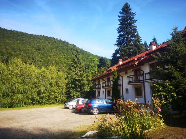 Floarea Reginei - Victoria, România
