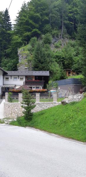 Apartment Tarman - Municipality of Bohinj