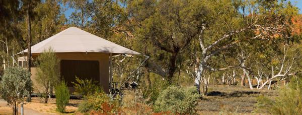 Squeakywindmill Boutique Tent B&b - Northern Territory