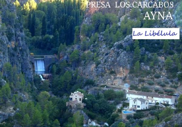 Casa Rural La Libelula Ayna - Elche de la Sierra