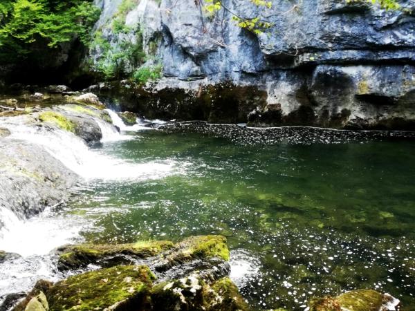 Apartman Nino - Croatia