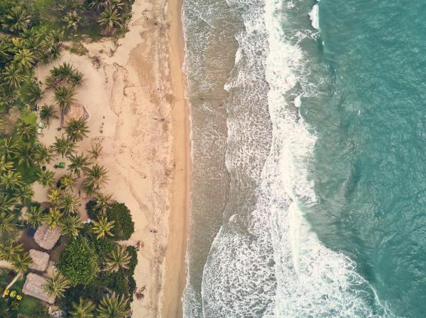 Playa Los Angeles - Parque Nacional Natural Tayrona