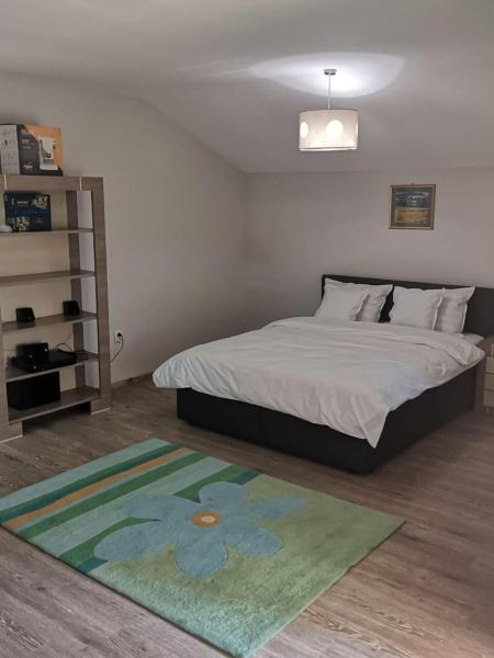 Viking Apartment Grigo - Cluj-Napoca