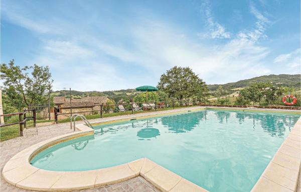 Ulivi 1 - Umbria