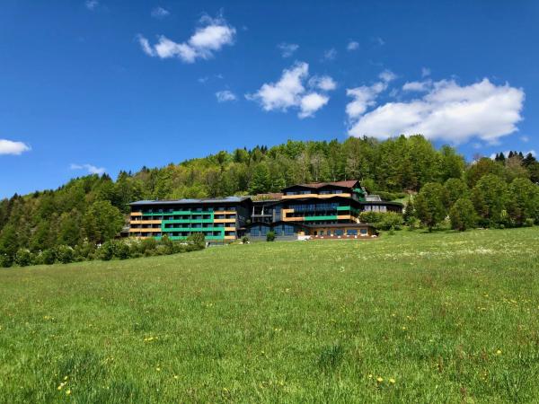 Natura Hotel Bodenmais - Inkl Soft- Und Heißgetränkeflat - Bodenmais