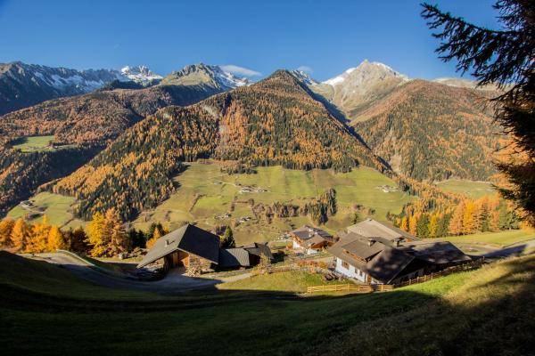 Mountainfarm Innertrein Wald - Valle Aurina