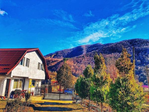 Panaite’s Home - Siriu