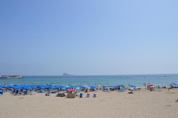 Marconi Anis Primera Linea - L'Albir