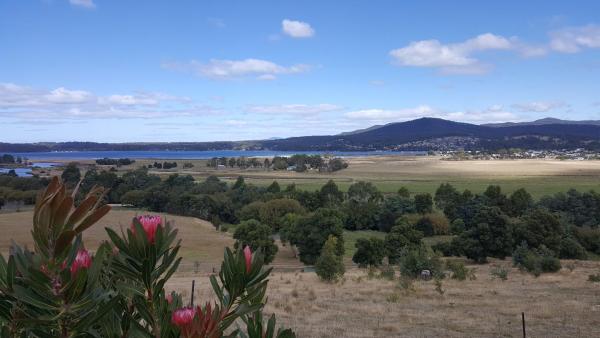 George River Park (House, 100 Acres, Animals, Views) - St Helens