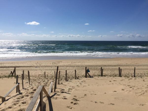 Etoile De Mer 7 - Mimizan