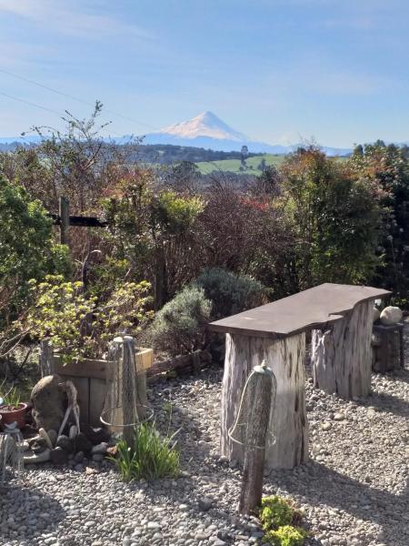 Cabaña Los Queltehue - Llanquihue